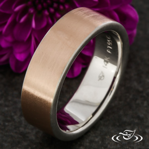 Two Tone Contemporary Band