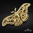 14K Yellow Gold Moth Brooch